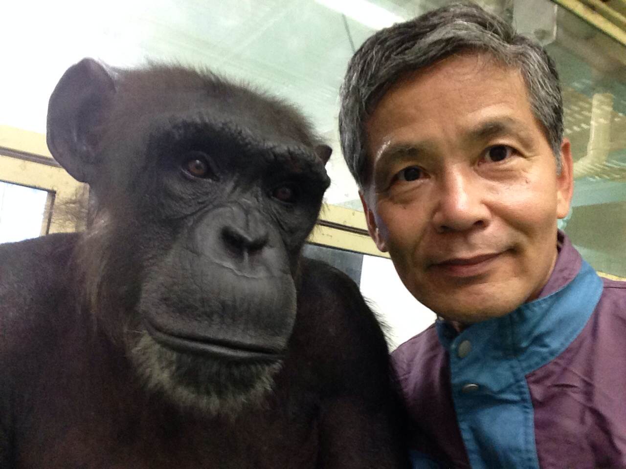 “Humanos y chimpancés somos casi la misma criatura” / Entrevistas / SINC