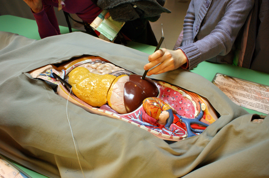 El procesado de imágenes puede identificar la causa de la muerte en dos ...