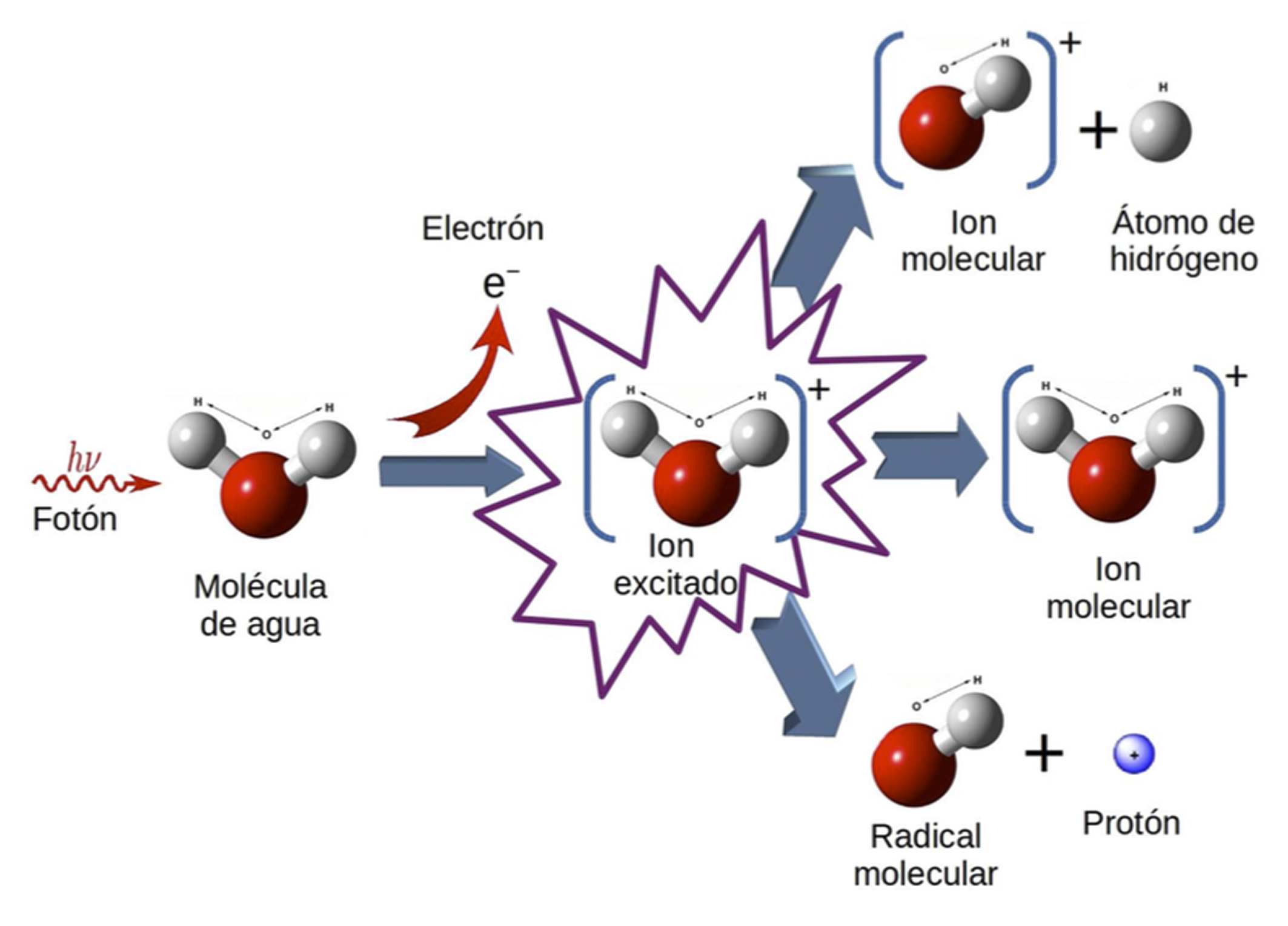 Descrita la fragmentación del agua ionizada / Noticias / SINC