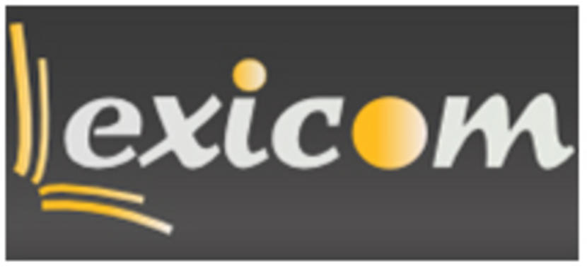 Estudio y aplicaciones del léxico para construir una web más ...