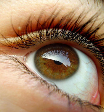 Una nueva técnica permitirá volver invisibles al ojo humano ...